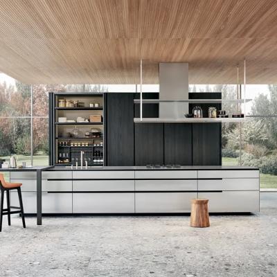 Cina Armadi da cucina modulari moderni di Blum in vendita