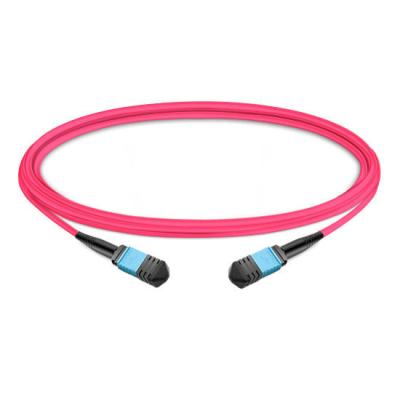 Cina 1m (3ft) 12 fibre femminili a polarità femminile B LSZH OM4 misto 50/125 del cavo del tronco di MPO in vendita