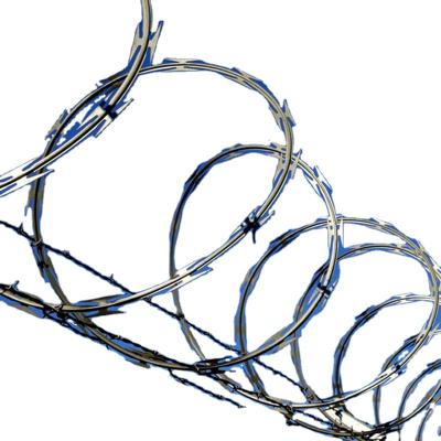 Professional Manufacture Promotion Price Resist Rust Welded Razor Wire Mesh BTO