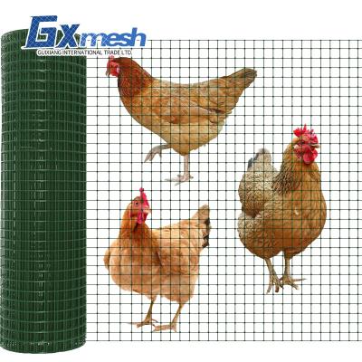 China Suministro de fábrica 1" x 1" Verde o Negro Color Pvc recubierto de malla de alambre soldado de vinilo recubierto de red para vallas en venta