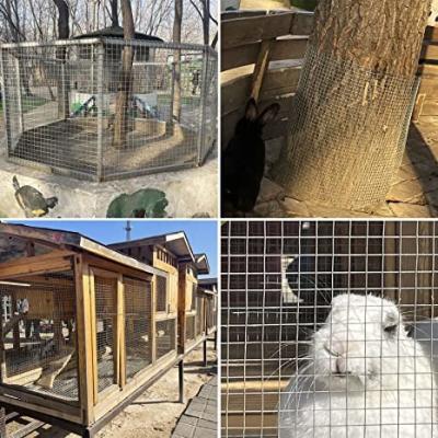 Китай Квадратная отверстие куриный забор сетки 1/2x1/2 Черный ПВХ сварной проволоки сетки от Direct в Anping продается