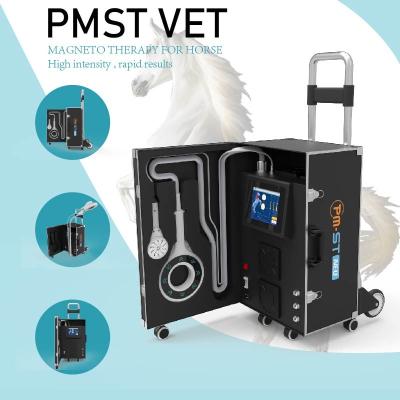 China Equine Magneto Therapy EMTT PEMF Fysiotherapiemachine voor spierzwelling en -ontsteking Te koop