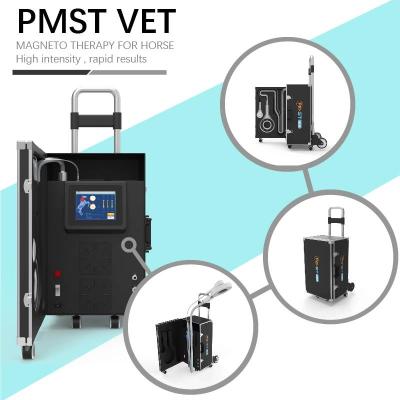 China EMTT Shockwave Therapy Machine 4 Tesla Veterinary Device voor stimulatie van paardenspier Te koop
