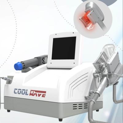 China Cryolipolysis Vet het Bevriezen Materiaal 2 in 1 het Vermageringsdieet + de Pijnmachine van het de Therapieapparaat van de Hulpschokgolf van Cryolipolysis Te koop