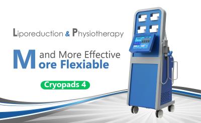 China Betere Niet-invasieve Cryolipolysis-Vermageringsdieetmachine, Professionele Cryolipolysis-Machine Te koop