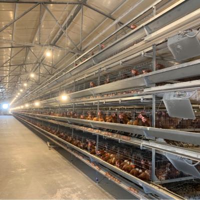 China Large Metal Hen Layer House Battery Cage Run Cheap Chicken Coop for Poultry for sale