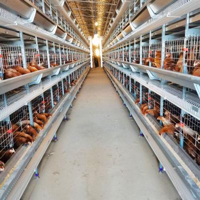 China Laying Hen Breeding Automation Equipment Galvanized Cage 4 Tier Poultry Layer Chicken Cage for sale