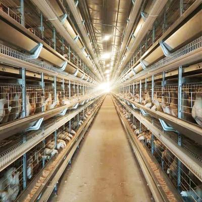 China Factory Direct Sale Kenya Poultry Chicken Farm 500 Birds Automatic Egg Chicken Cages H Type 10000 Layer Bird Layer Chicken Cage for sale