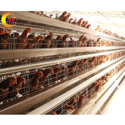 China Kenya Poultry Farm House Poultry Cage Battery Cage Layer Chicken Cages with Egg Collection System for sale