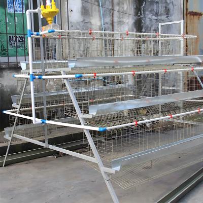 China Poultry Farming Equipment a Type 10000 Layer Chickens Cage Chicken Layer Cage for Sale for sale