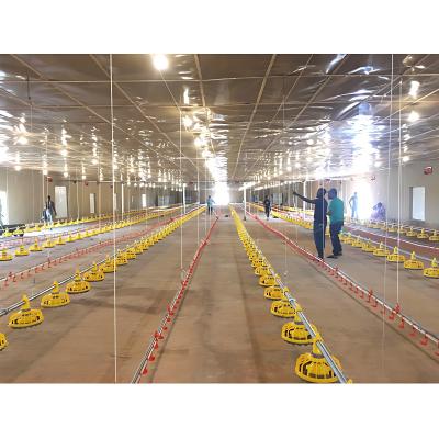 China Automatic Animal Feeding Drinking System Poultry Farm Chicken Feeders Line for sale