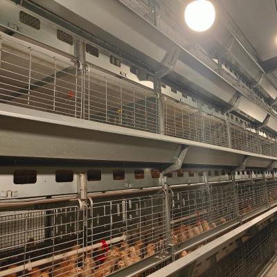 China Commercial Stainless Steel Automatic Poultry Brooder Battery Baby Chicken Cage Chicken Coop for 5000 Chickens in Kenya for sale