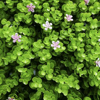 Cina I fiori verdi artificiali decorativi all'aperto del pannello di pareti G717 erba la plastica mista 3D in vendita