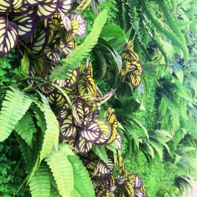 Cina Pareti verdi artificiali 40mm resistenti UV del giardino decorativo in vendita