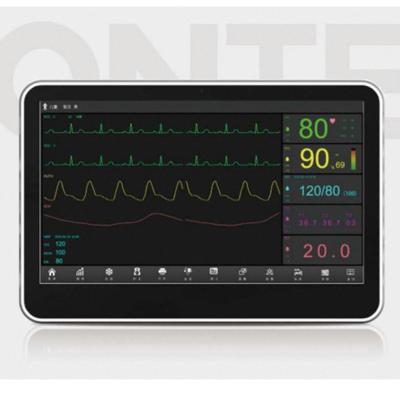 China Portable 12.1-Inch Touch Screen Veterinary Patient Monitor Handheld Device for Cat and Dog Animals for sale