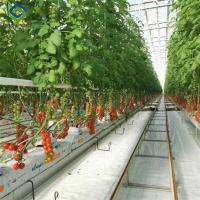 Quality Steel Frame Garden Tomato Greenhouse Hydroponic Container System Dutch Bucket for sale