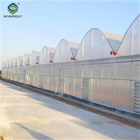 Quality Customized Commercial Greenhouse Vegetable Production For Pepper And Cucumber for sale