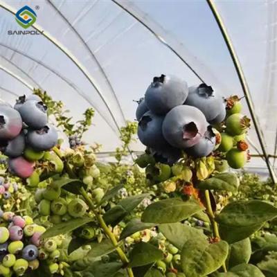 中国 サインポリ 農業 温室 鉄製 構造 温室 カスタマイズされた色 販売のため