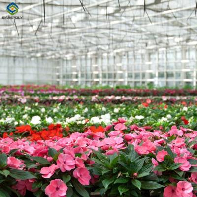 Flower Farm Greenhouse With Galvanized Steel Space Grid Frame Automated Electric