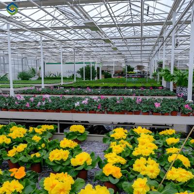 Waterproof Flower Greenhouse Multi Span Greenhouse With Strong Load Bearing