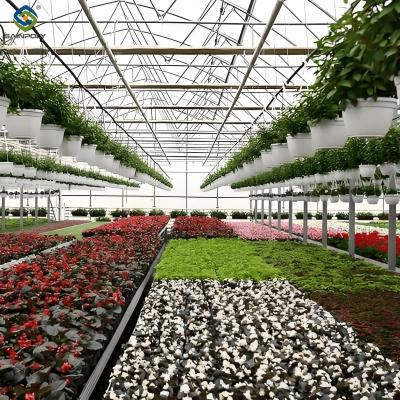 Glass Film Polycarbonate Greenhouse Flower Greenhouse With Intelligent Systems