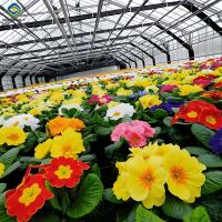 Quality Easy Assembly Glass Type Flower Greenhouses With Hydroponic Growing System for sale