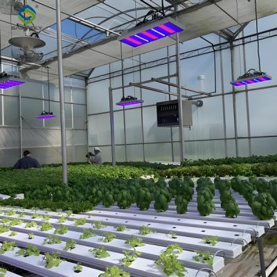 Customized Size Lettuce Green House Easy Installation With Sliding / Swing Door
