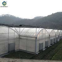 Quality Polycarbonate Covering Multi Span Greenhouse With Galvanized Steel Structure for sale