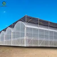 Quality Heavy Duty Commercial Greenhouse With PE PO PEP Film Covering Wind Resistant for sale