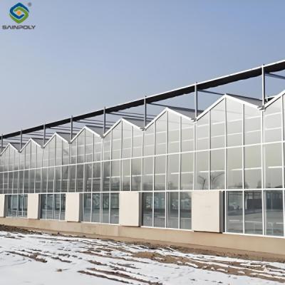 Smart Multi Span Venlo Glass Greenhouse Solar Photovoltaic Greenhouses Fruit