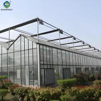 Quality Hydroponic Venlo PC Polycarbonate Solar Glass Greenhouse Customizable for sale