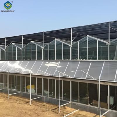 Intelligent Venlo Glass Greenhouse For Tomato Strawberry Growing Turnkey Project