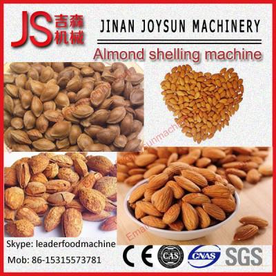 Cina Sgranatura/che fa del nocciolo dell'arachide di alta efficienza macchina 1000kg/h in vendita