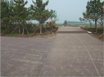 Cina Decking composito del maschio e femmina di WPC per il campo da giuoco con superficie d'insabbiamento in vendita