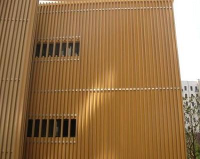 Cina Rivestimento riciclabile della parete di WPC per la decorazione della Camera/rivestimento della piattaforma in vendita