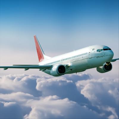Chine Solutions de transport maritime en Chine Service de livraison du fret aérien de la Chine à la Tanzanie à vendre