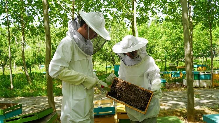 Verified China supplier - Henan Multi-Sweet Beekeeping Technology Co., Ltd.