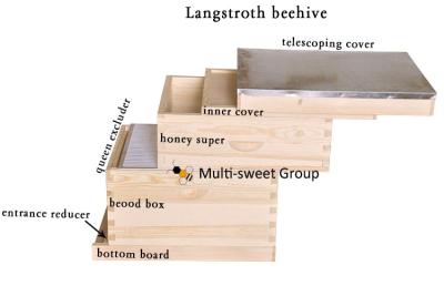 China 10 grueso de madera de la colmena 20m m de la abeja de Langstroth del marco sin montar en venta