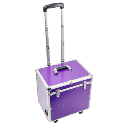 Chine Mini valise conception vétérinaire opération dentaire Unité 3 usine de couleur machine de traitement dentaire pour animaux de compagnie à vendre
