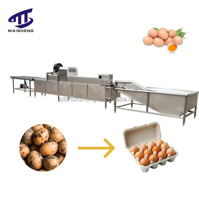 China Maisheng Egg Washing Machine Large Production Capacity Industrial Egg Cleaning Machine Stainless Steel Egg Cleaner for sale