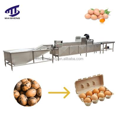China Maisheng Egg Washer Drier Industrial Egg Washer Cleaner Customizable Automation Egg Cleaning Machinery for sale