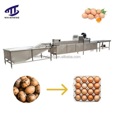 China Maisheng Industrial Washing Eggs Machine Dryer Washer Dirty Egg Cleaning Machine Automatic Egg Washing Machine for sale