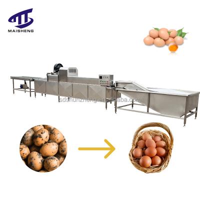 China New Quail Egg Washer Easy-to-Use Liquid T Equipment for Farm Restaurant Manufacturing Plant Retail Bakery Industries for sale