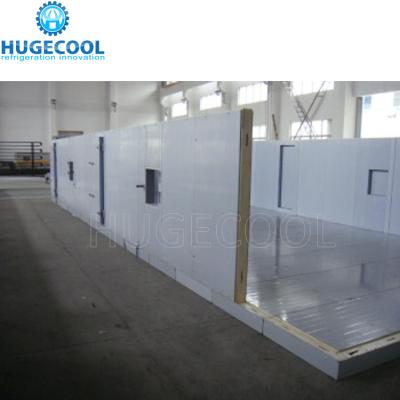 China Customizable Freezer Cold Room with Hinged Door and Digital Indicator Control Box for Tailored Cold Storage Solutions for sale