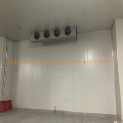 China Blast Freezer Cold Room with Air Cooling Method and Compressor Refrigeration Unit for sale