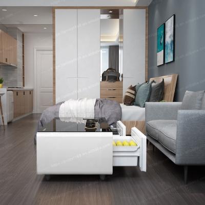 Chine Meubles de salon Souffle réfrigérateur intelligent moderne avec double haut-parleur et chargeur USB à vendre