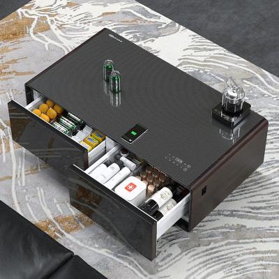 Chine Meubles de salon Souffle réfrigérateur intelligent moderne avec double haut-parleur et chargeur USB à vendre