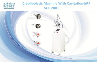Cina Vuoto di ringiovanimento della pelle che dimagrisce macchina, attrezzatura di congelazione grassa di Cryolipolysis della clinica in vendita