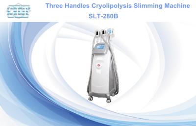 Cina Vuoto di congelamento grasso di Cryo Cryolipolysis che dimagrisce macchina per la pancia, braccio, rimozione del grasso della gamba in vendita