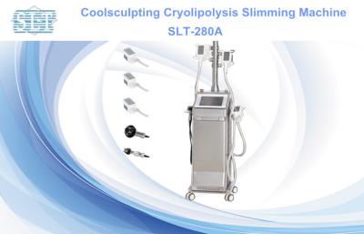 China De Machine van Zeltiq van de gewichtsvermindering het Koele Beeldhouwende Vette Bevriezen Cryotherapy Te koop